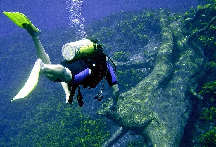 Media Luna, San Luis Potosí: guía definitiva - Tips Para Tu Viaje