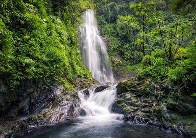 10 Cosas Que Hacer Y Ver En Coatepec, Veracruz - Tips Para Tu Viaje