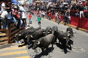 Huamantla, Tlaxcala - Pueblo Mágico: Guía Definitiva - Tips Para Tu Viaje