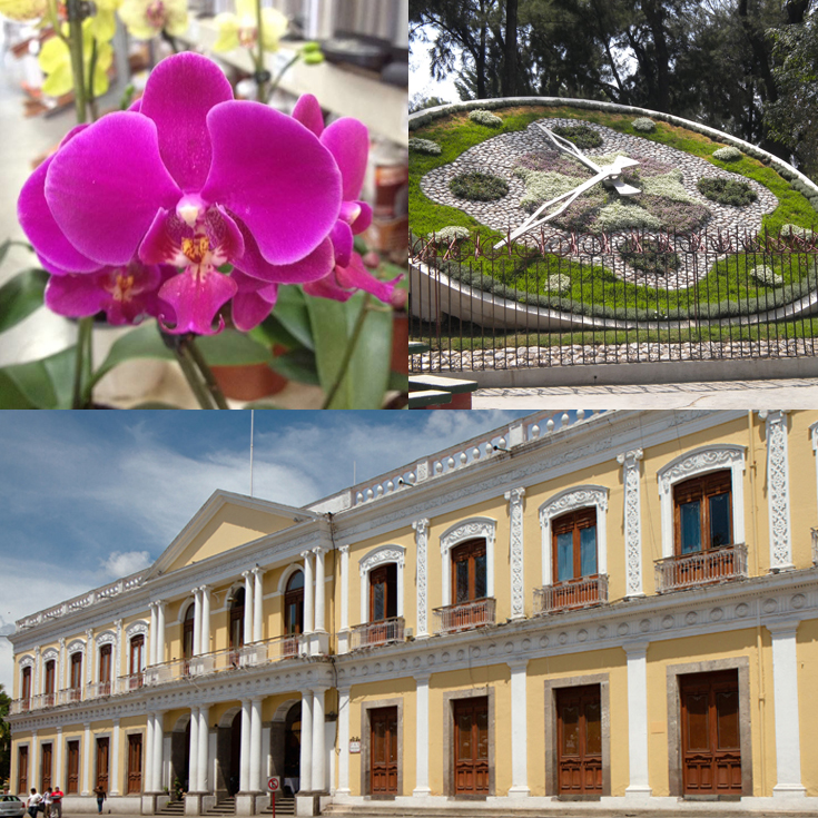 10 Cosas Que Hacer Y Ver En Coatepec, Veracruz - Tips Para Tu Viaje