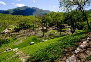 Jalpan De Serra, Querétaro - Pueblo Mágico: Guía Definitiva - Tips Para ...