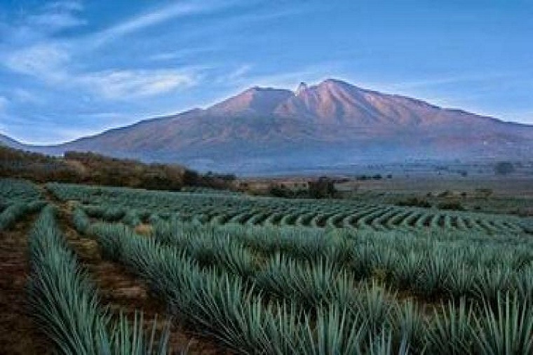 Tequila, Jalisco, pueblo mágico: guía definitiva - Tips Para Tu Viaje