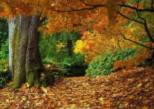 Talpa De Allende, Jalisco - Pueblo Mágico: Guía Definitiva - Tips Para ...