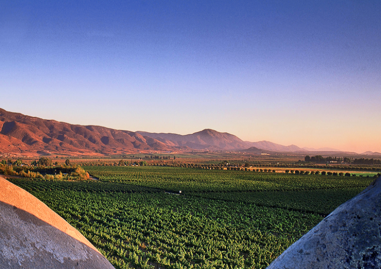 Monte Xanic, Valle De Guadalupe: Guía Definitiva - Tips Para Tu Viaje