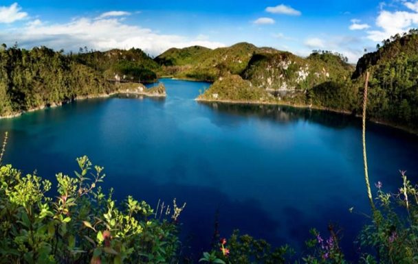 ¿Por Qué México Es Un País Megadiverso? - Tips Para Tu Viaje