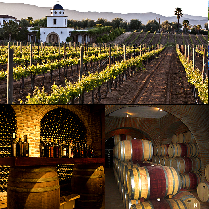 Barón Balché, Valle De Guadalupe: Guía Definitiva - Tips Para Tu Viaje