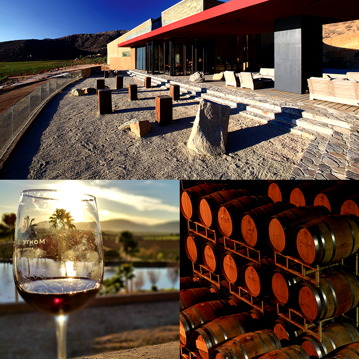 Monte Xanic, Valle De Guadalupe: Guía Definitiva - Tips Para Tu Viaje