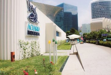 Acuario Inbursa: Guía Definitiva Y Lo Que Debes Saber Antes De ...