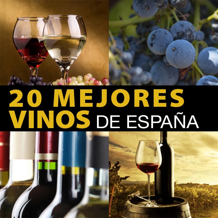 20 Mejores Vinos De España - Tips Para Tu Viaje