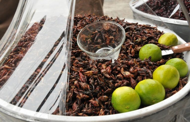 Comida típica de Veracruz: los 15 mejores platillos - Tips Para Tu Viaje