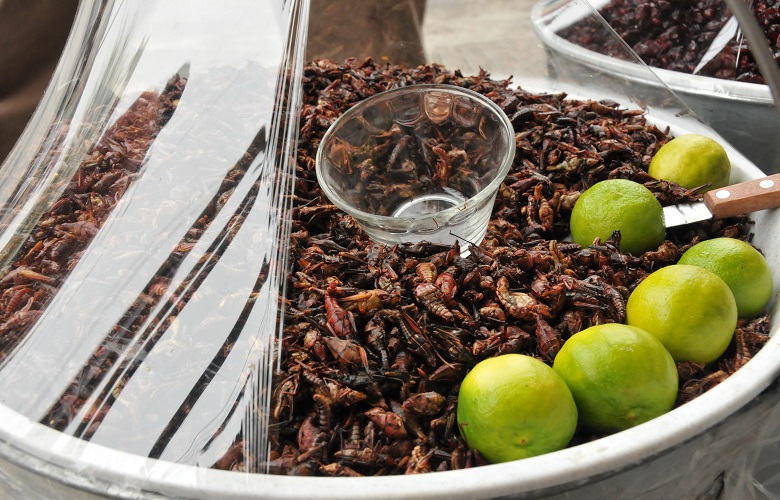 Comida típica de Veracruz: los 15 mejores platillos - Tips Para Tu Viaje