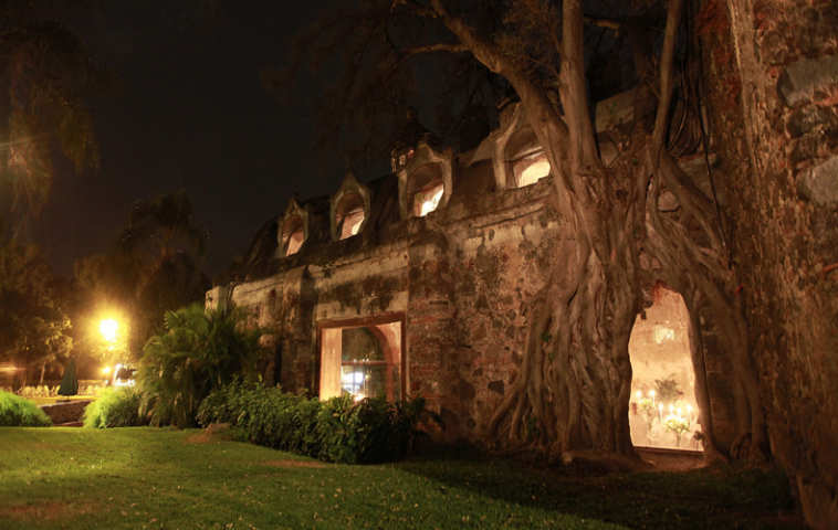 15 Cosas Por Hacer Y Ver En Oaxtepec - Tips Para Tu Viaje