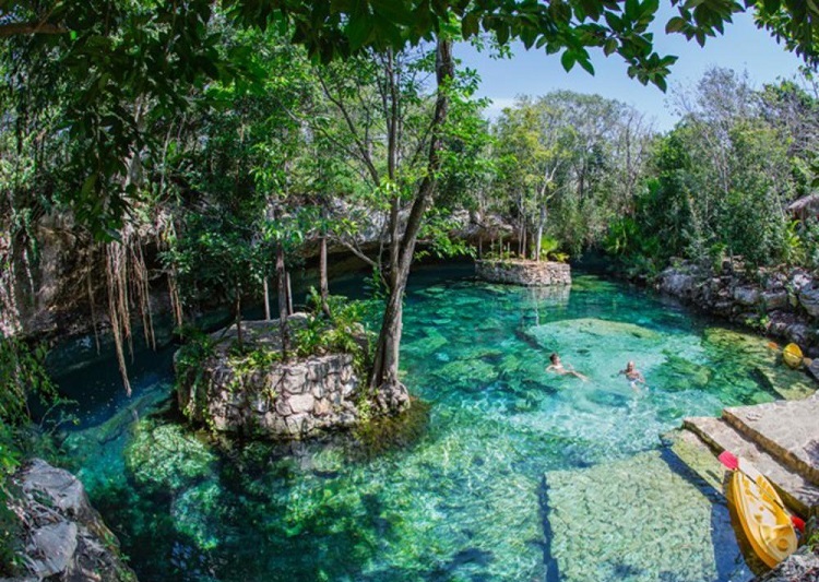 El Top 20 de los cenotes en Cancún y en la Riviera Maya - Tips Para Tu ...