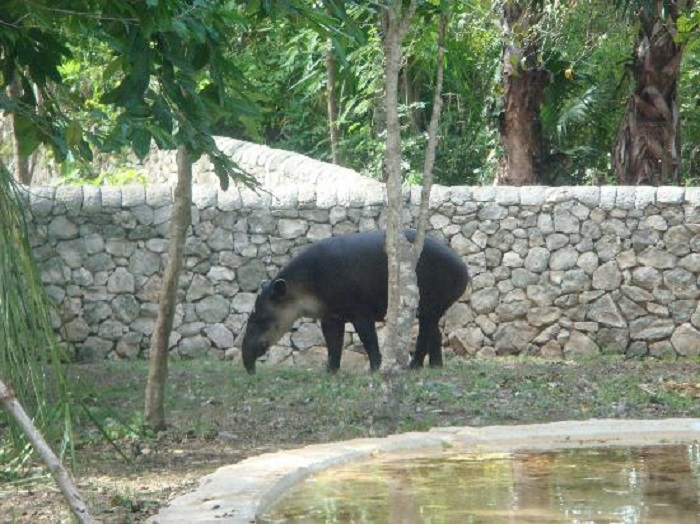 Xcaret, Cancún: precios, descuentos, dónde está y qué hacer [guía ...