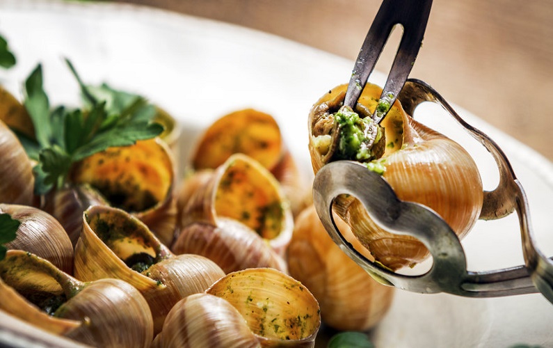 Comidas Típicas de Francia