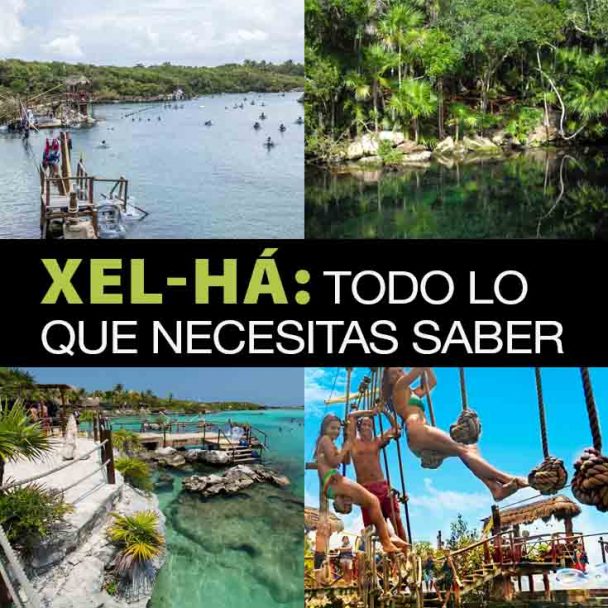 Xel-Há: Precios, Actividades, Guía Y Como Llegar - Tips Para Tu Viaje