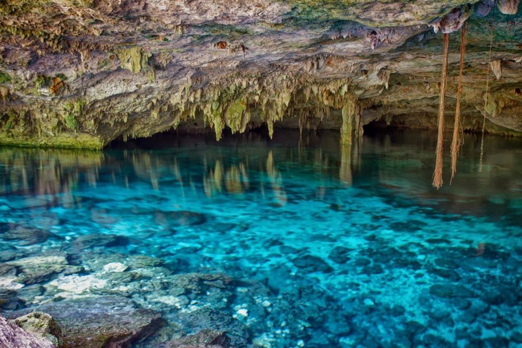 ᐅ ¿Cuánto cuesta la entrada a Xcaret? - guía DETALLADA 【2025】