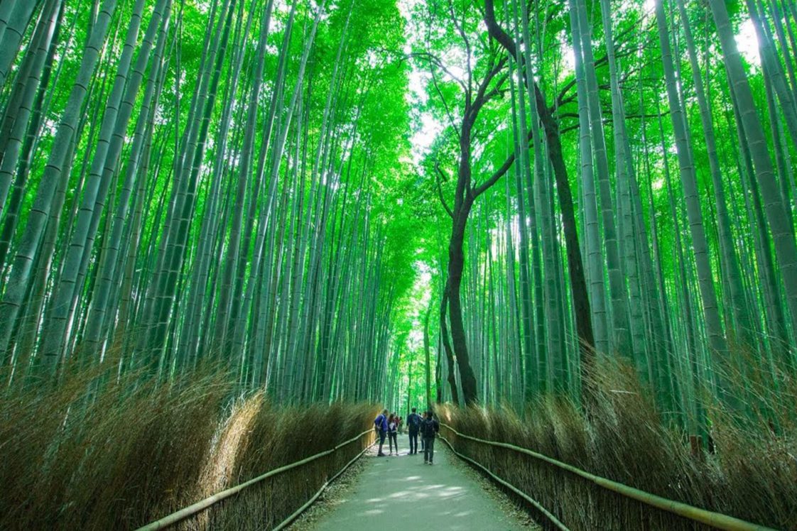 Los TOP 25 lugares turísticos de Japón para visitar - Tips Para Tu Viaje