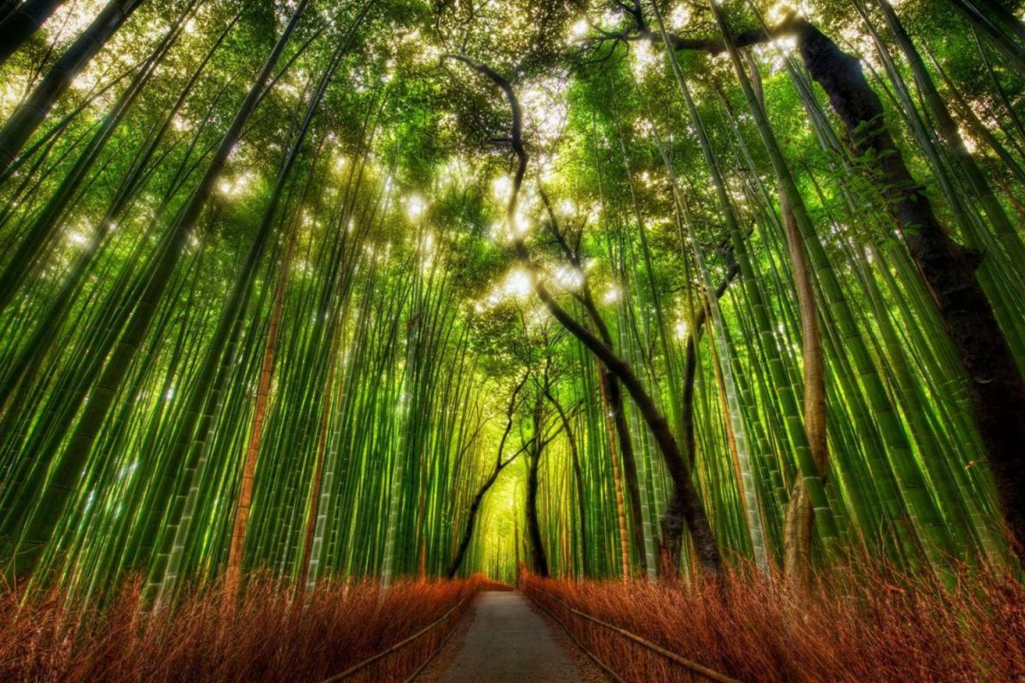 Los 15 Mejores Paisajes de Japón que Tienes que Visitar - Tips Para Tu ...