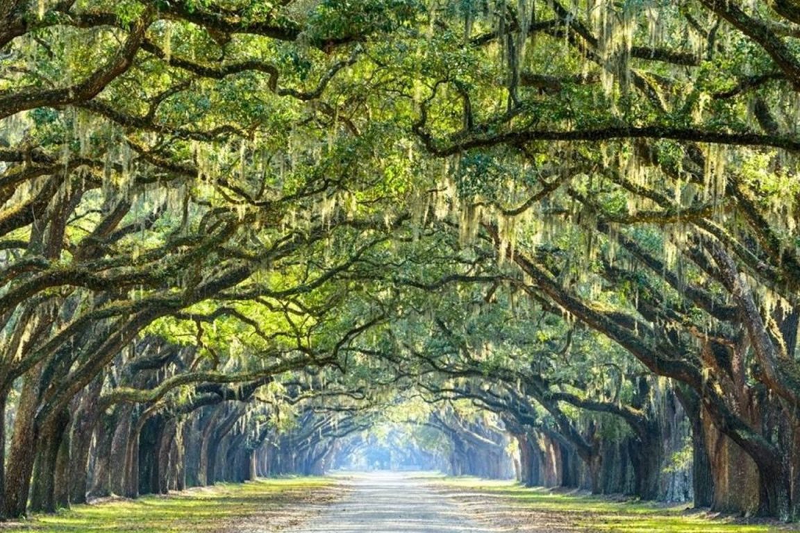 Los 28 mejores lugares turísticos de Estados Unidos para visitar - Tips ...