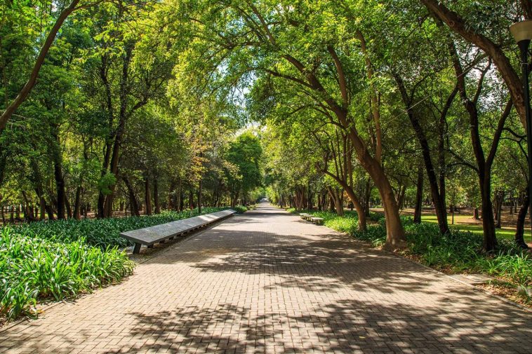 Bosque de Chapultepec En la CDMX - Guía Turística A Detalle - Tips Para ...
