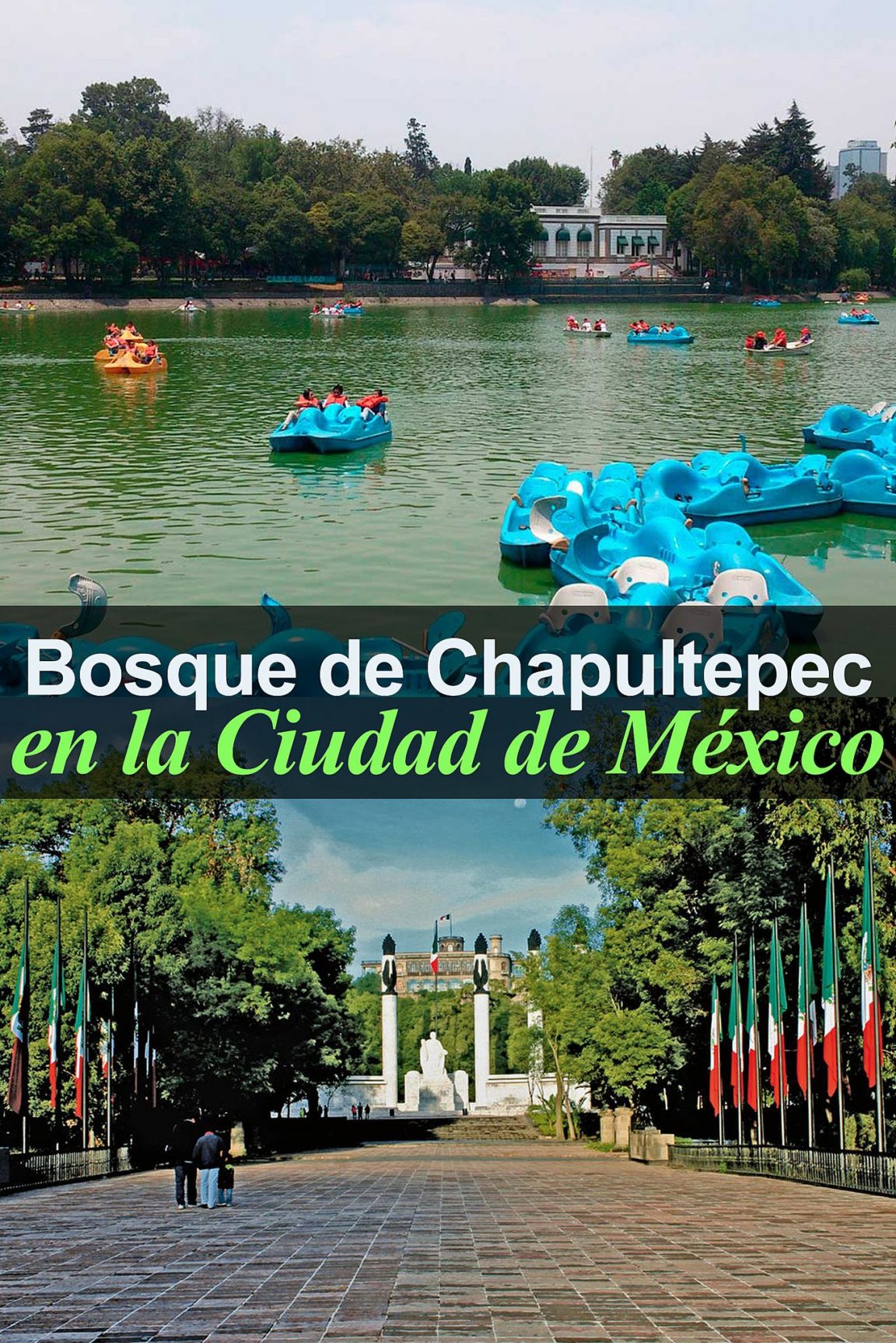 Bosque de Chapultepec En la CDMX - Guía Turística A Detalle - Tips Para ...