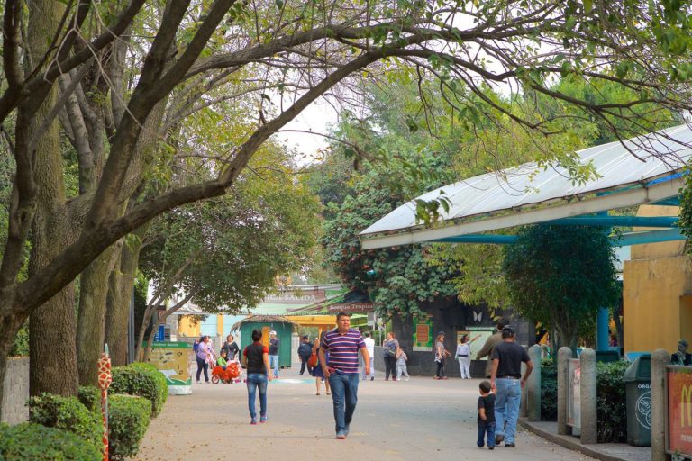 Zoológico De Chapultepec - guía turística detallada - Tips Para Tu Viaje