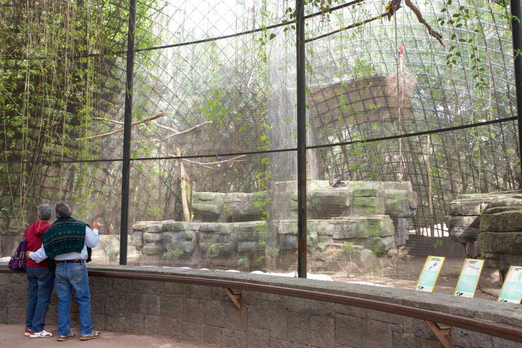 Zoológico De Chapultepec - guía turística detallada - Tips Para Tu Viaje