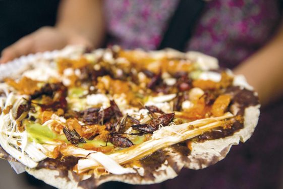 Las 12 mejores comidas de la gastronomía de Oaxaca - Tips Para Tu Viaje