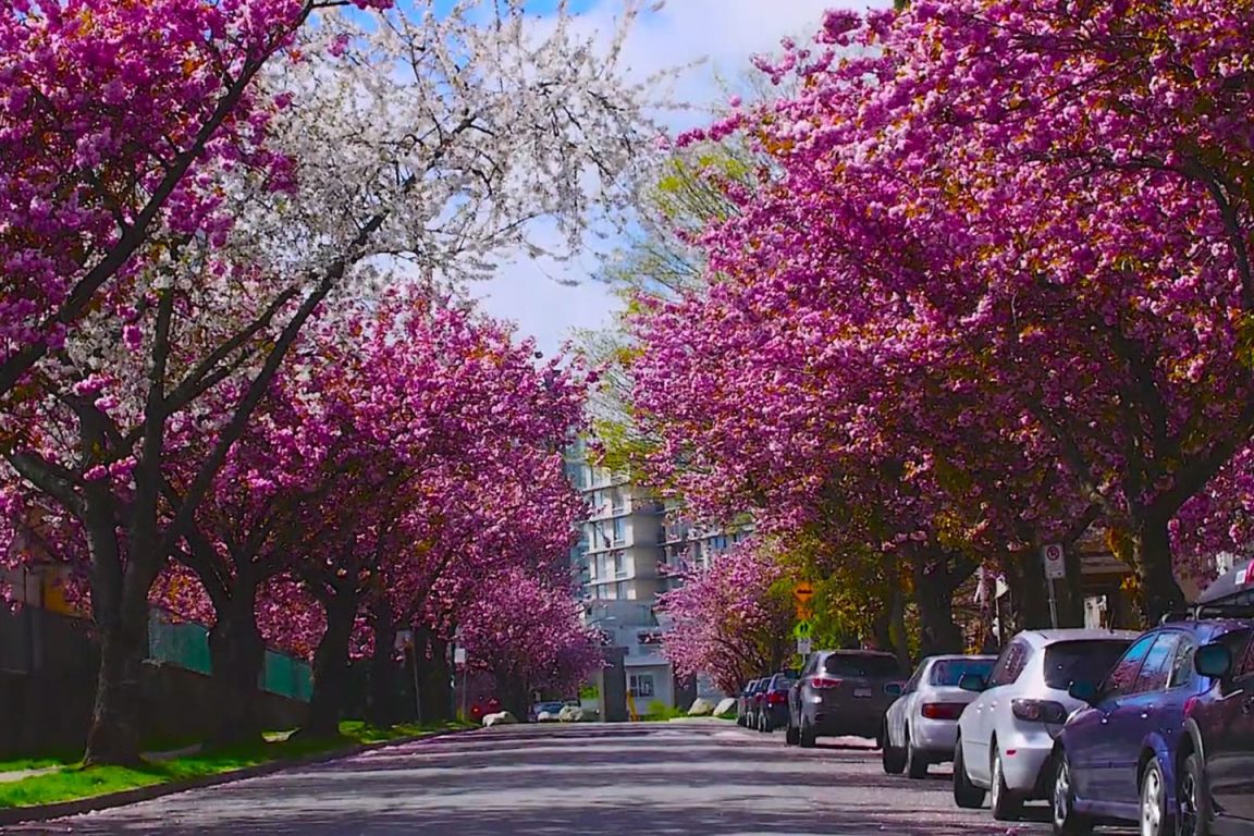 ¿Cómo es el clima en Vancouver? - Tips Para Tu Viaje