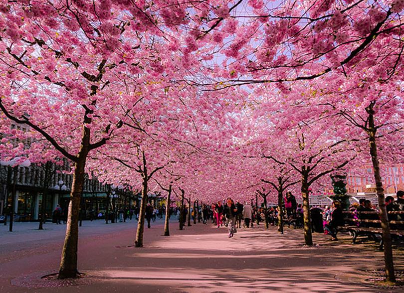 ¿Cómo es el clima en Vancouver? - Tips Para Tu Viaje