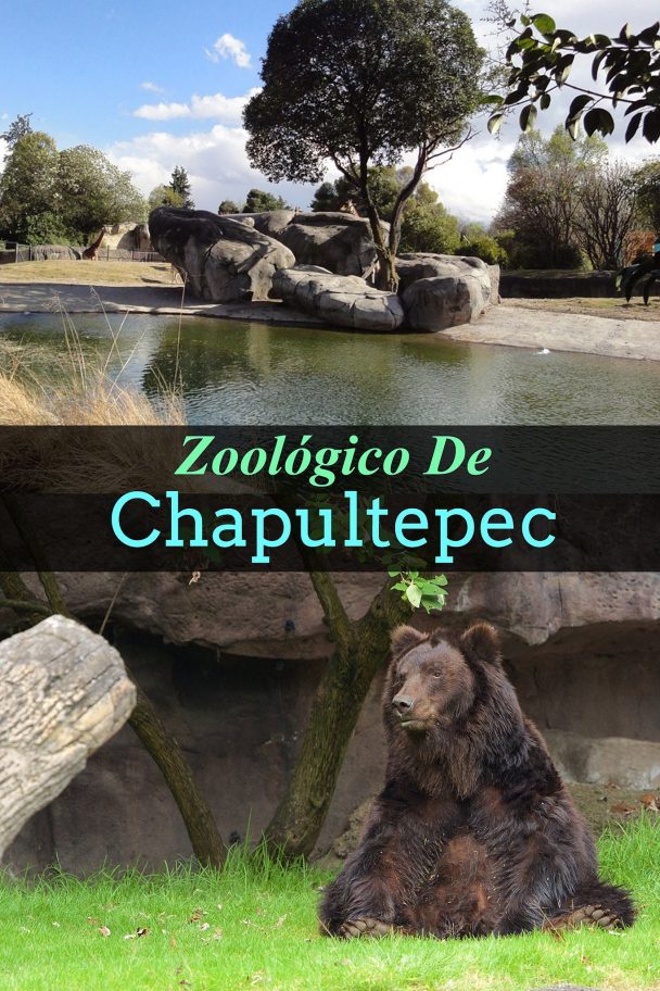 Zoológico De Chapultepec - guía turística detallada - Tips Para Tu Viaje