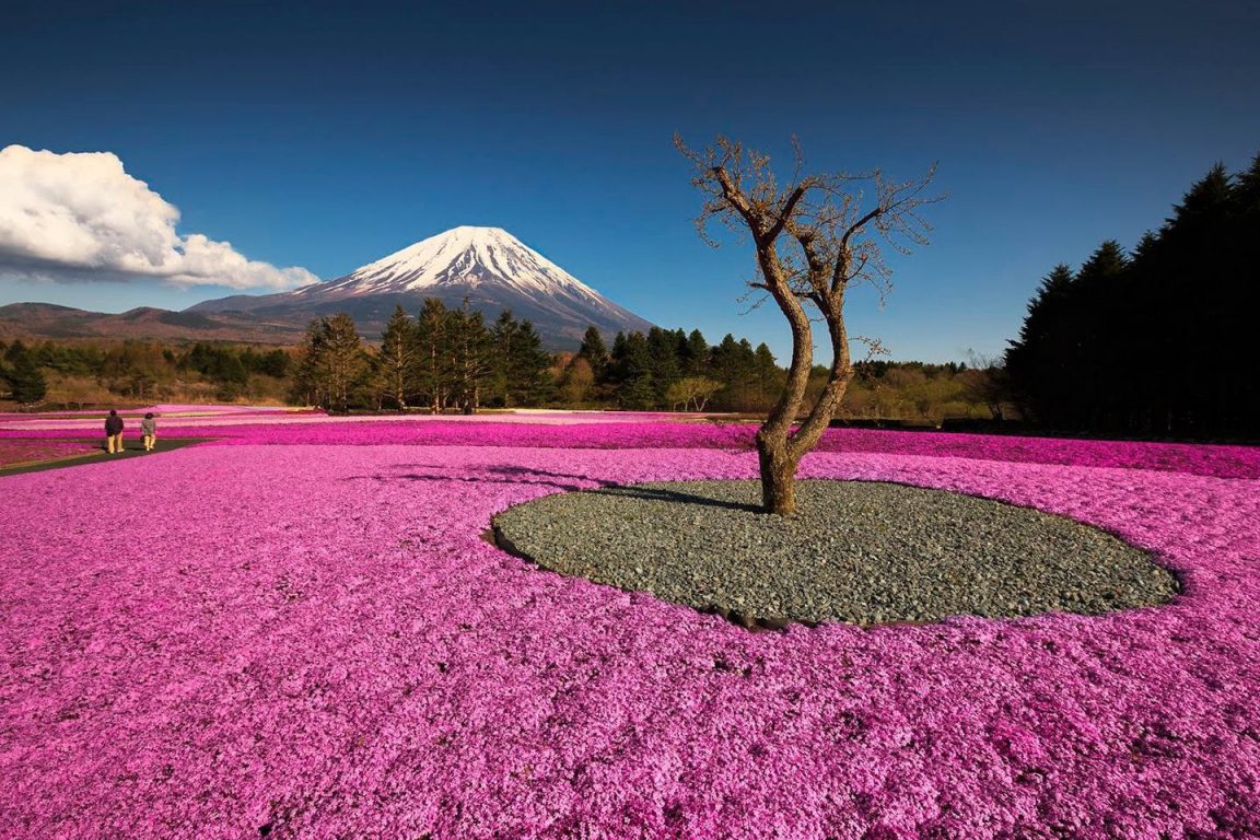 40 lugares que deberías visitar en Japón antes de morir - Tips Para Tu ...