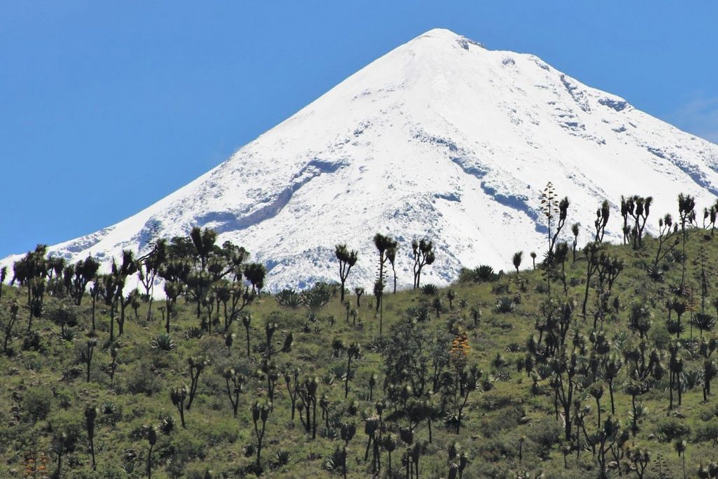Los 10 mejores monumentos naturales en México - Tips Para Tu Viaje