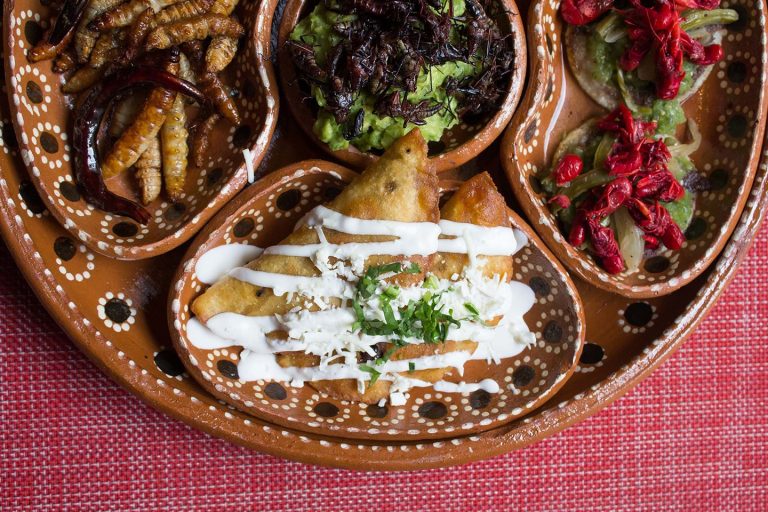 12 typical dishes of Mexico with insects - Mexico Daily Post