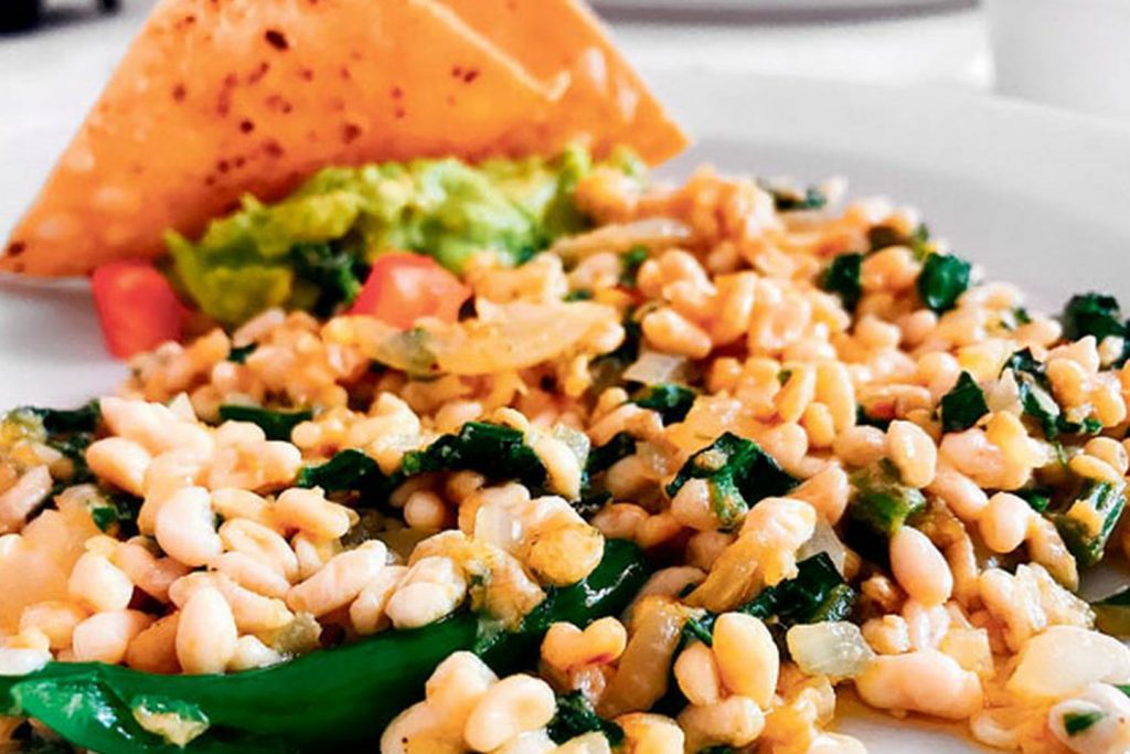 12 typical dishes of Mexico with insects - Mexico Daily Post