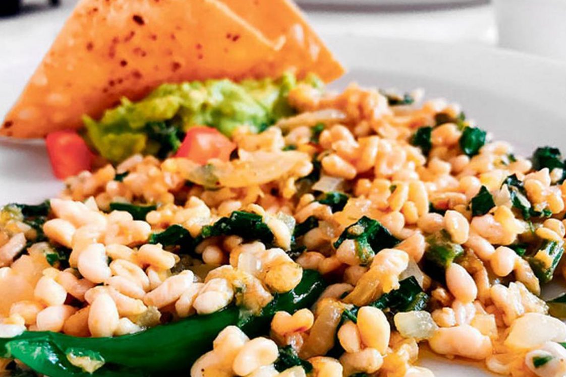 12 typical dishes of Mexico with insects - Mexico Daily Post