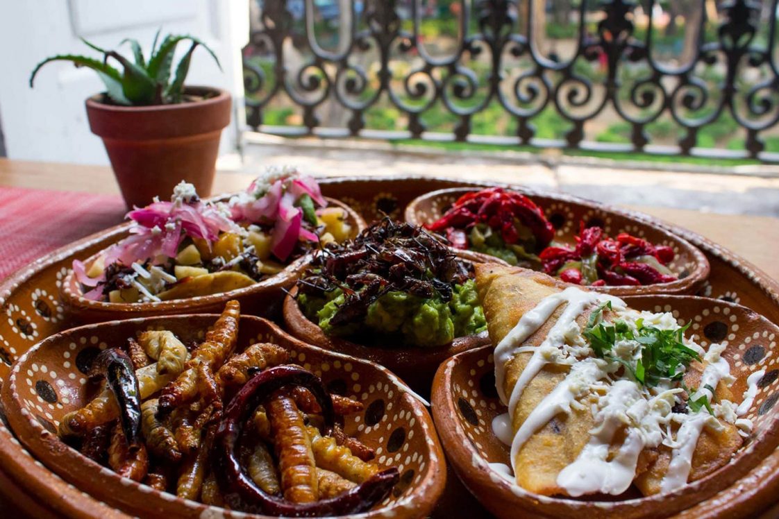 12 typical dishes of Mexico with insects - Mexico Daily Post