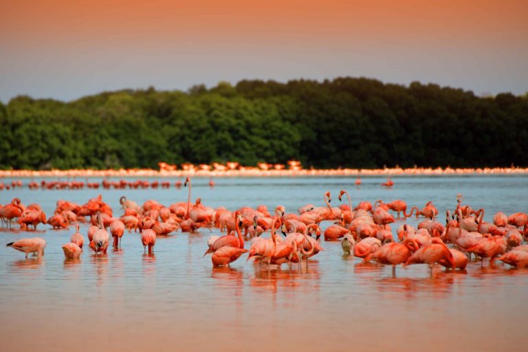 Los 10 mejores monumentos naturales en México - Tips Para Tu Viaje