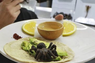 12 typical dishes of Mexico with insects - Mexico Daily Post
