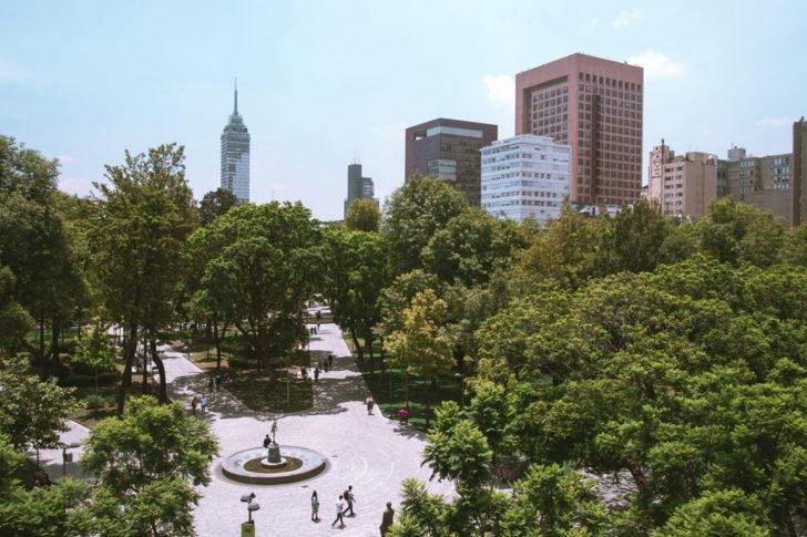 Los 20 mejores parques en la Ciudad de México que tienes que visitar ...