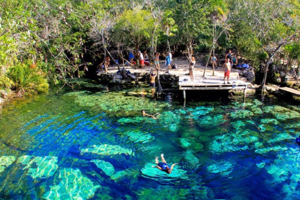 Los TOP 7 mejores cenotes para visitar en Tulum - Tips Para Tu Viaje