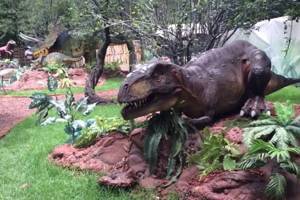 Los 20 mejores parques en la Ciudad de México que tienes que visitar ...