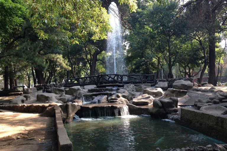 Los 20 mejores parques en la Ciudad de México que tienes que visitar ...