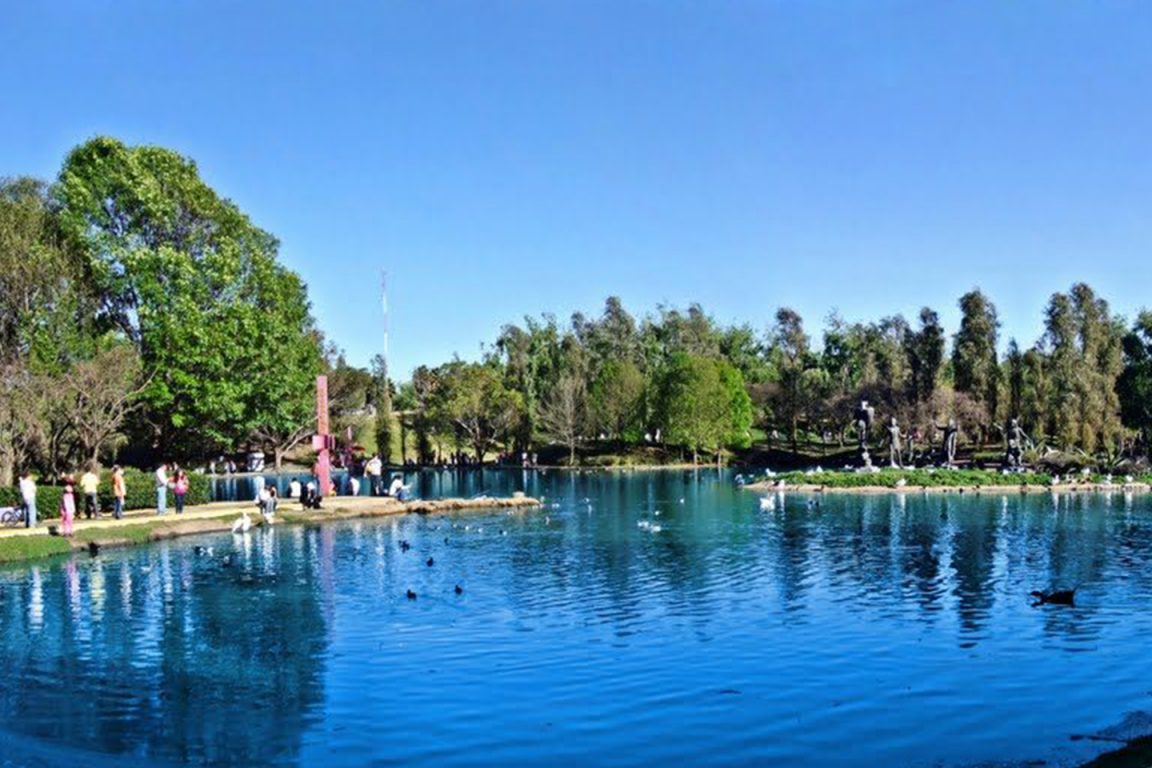 Los 20 mejores parques en la Ciudad de México que tienes que visitar ...