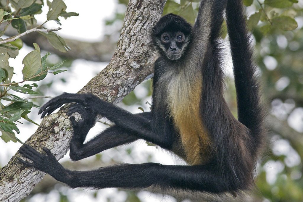Bioparque Estrella México, todo lo que debes saber - Tips Para Tu Viaje