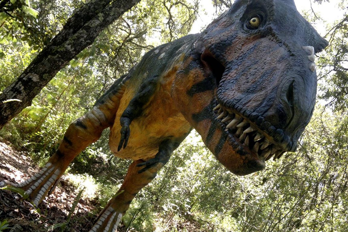 Bioparque Estrella México, todo lo que debes saber - Tips Para Tu Viaje