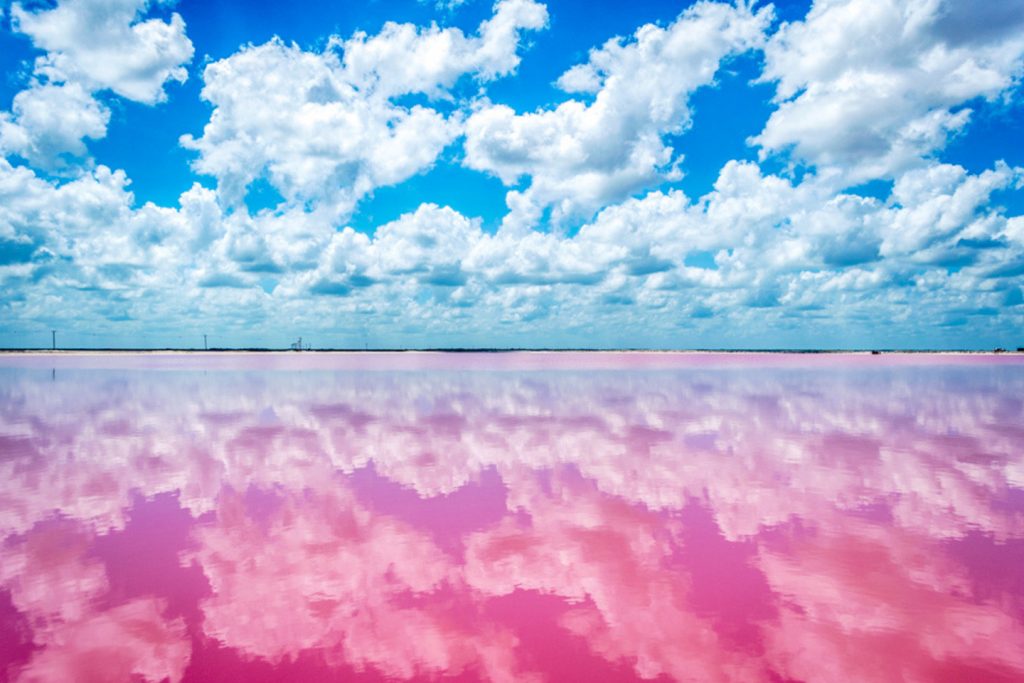 Las Coloradas Yucatán, el Lago Rosa: todo lo que debes saber - Tips ...