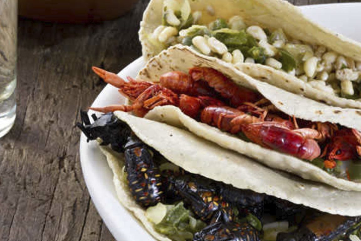 Los 20 mejores tacos de la CDMX que tienes que probar - Tips Para Tu Viaje