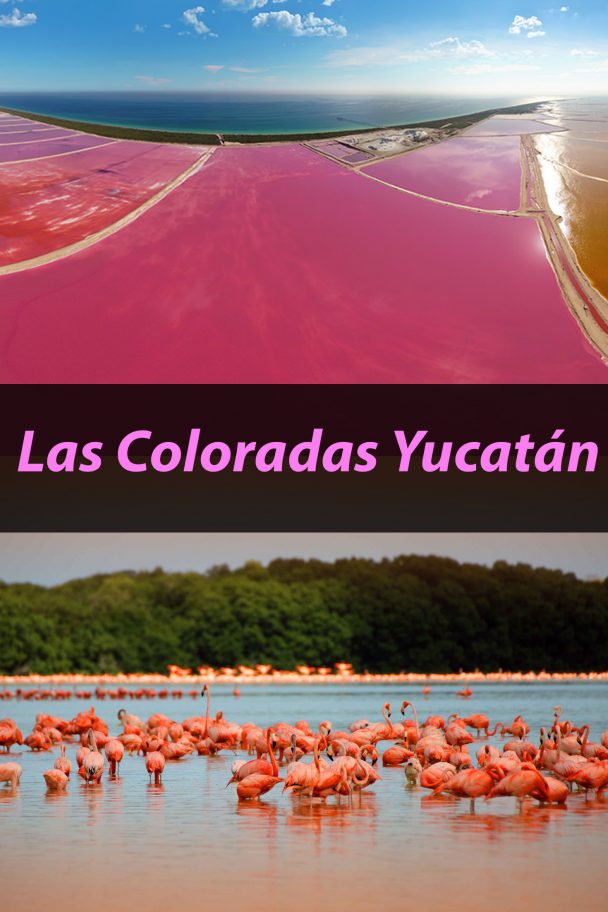 Las Coloradas Yucatán, el Lago Rosa: todo lo que debes saber - Tips ...